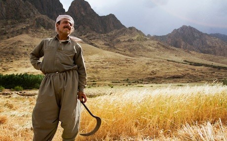 Official: tougher Iraqi regulations to impact Kurdish wheat farm