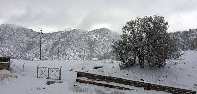 Kurdish mountains turn white by first snow of year | Rudaw.net