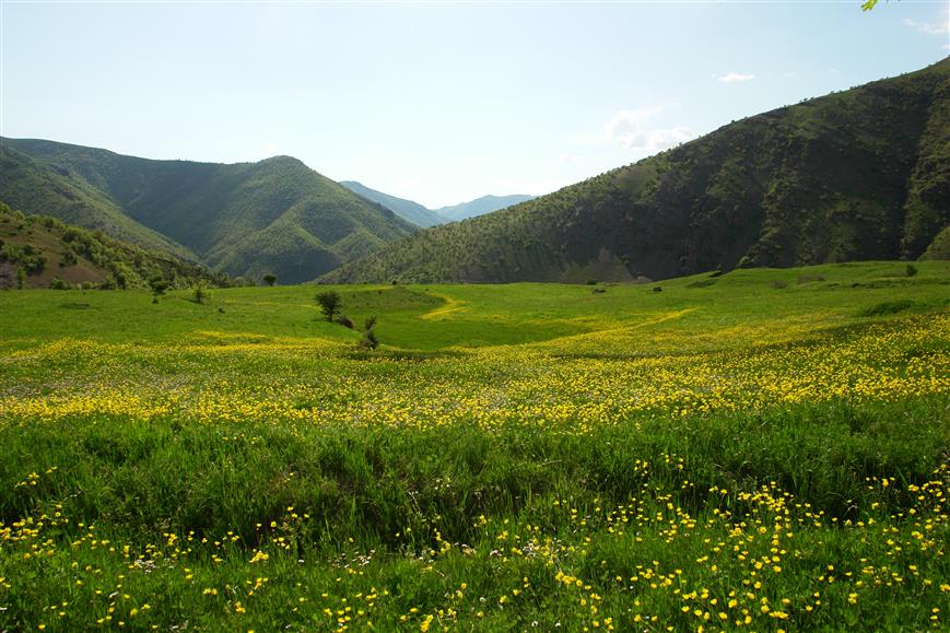 | رووداو.نێت