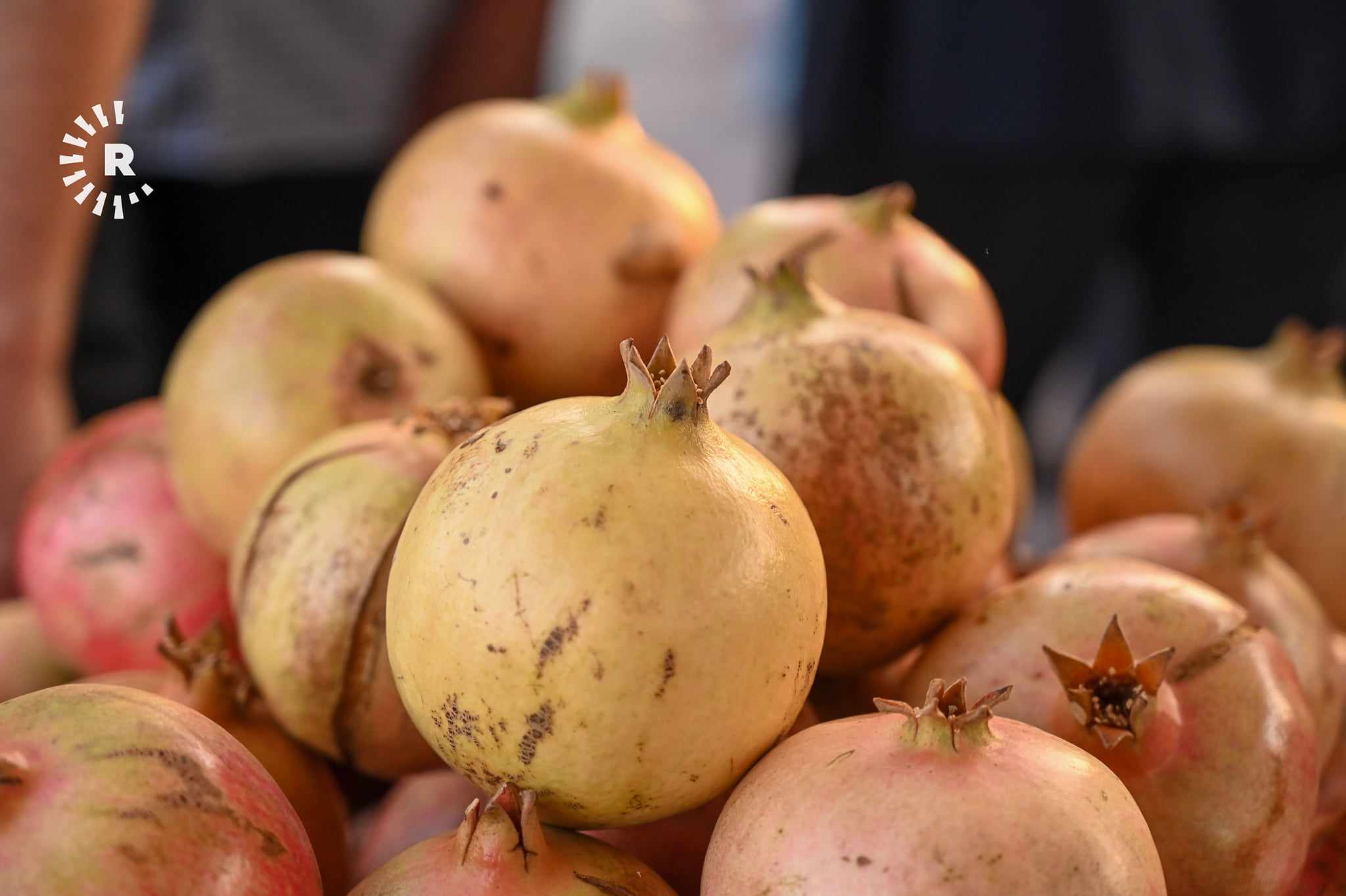 بە وێنە؛ فێستیڤاڵی هەنار لە هەولێر | رووداو.نێت
