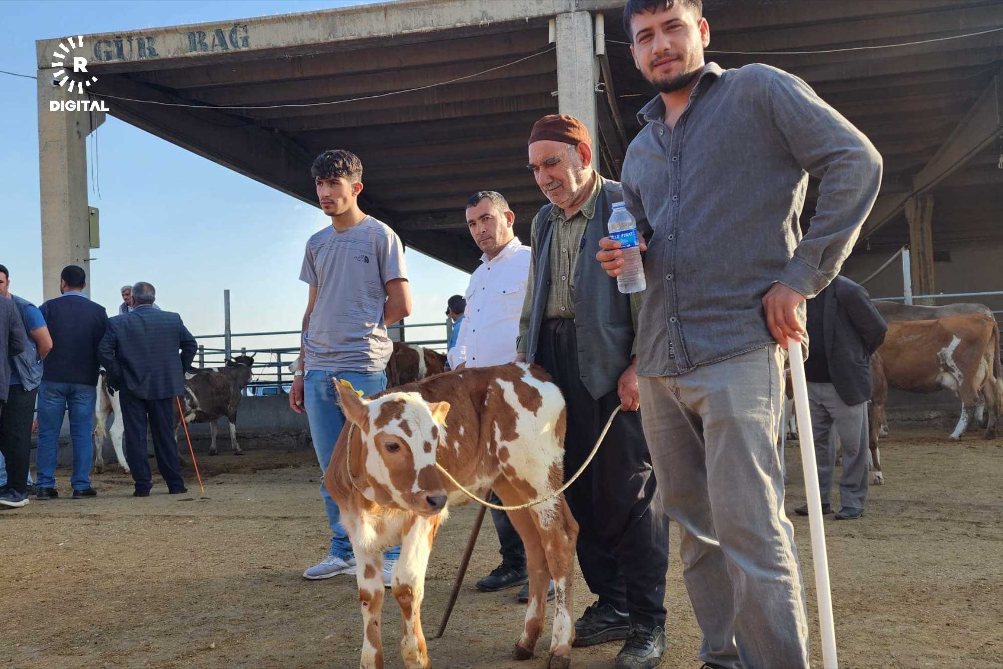 FOTO - Diyarbakır'da kurbanlık hayvan pazarı... | Rudaw.net