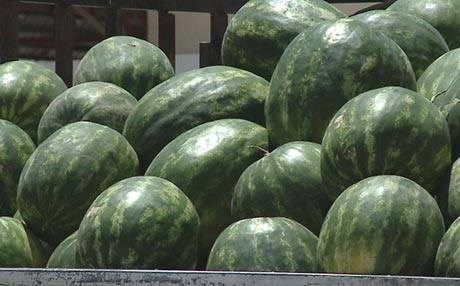 Sales of Iranian watermelons in Kurdistan plummet... | Rudaw.net