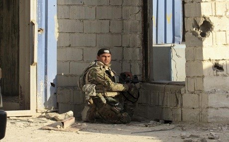 80 percent of Fallujah liberated | Rudaw.net