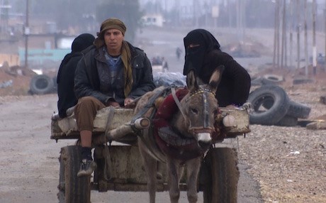 Man and his donkey connect two sides of Mosul... | Rudaw.net