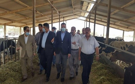 KRG bans imports of animals, red meat from Iraq... | Rudaw.net
