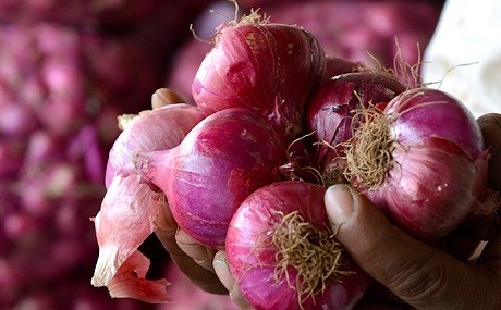 Iranian onions – an unexpected yardstick for US... | Rudaw.net