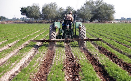 Beet Farmers in Iran’s Mukriyan Region Complain... | Rudaw.net