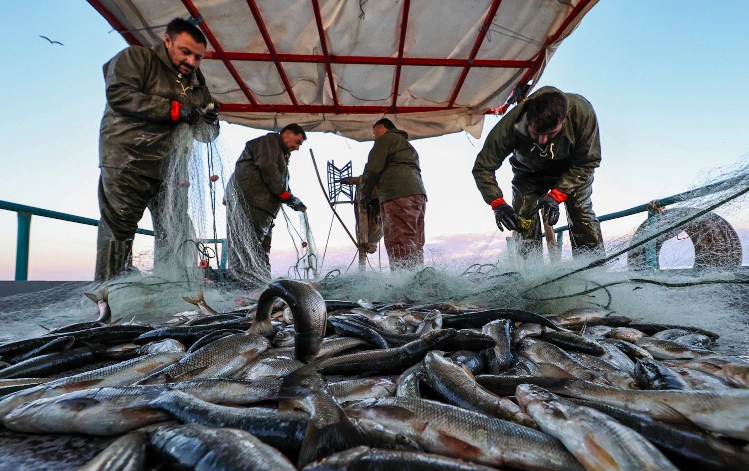 Li Wanê 4 bira 30 sal in bi masîgiriyê debara xwe... | Rûdaw.net