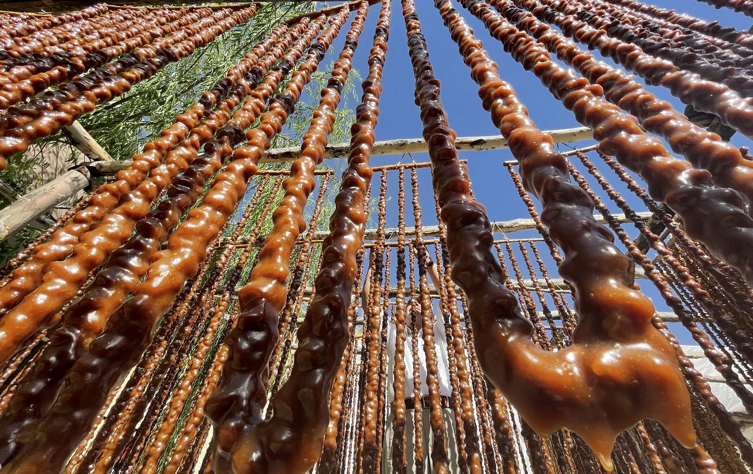 Li Xarpêtê demsala çêkirina beniyan destpê kir | Rûdaw.net