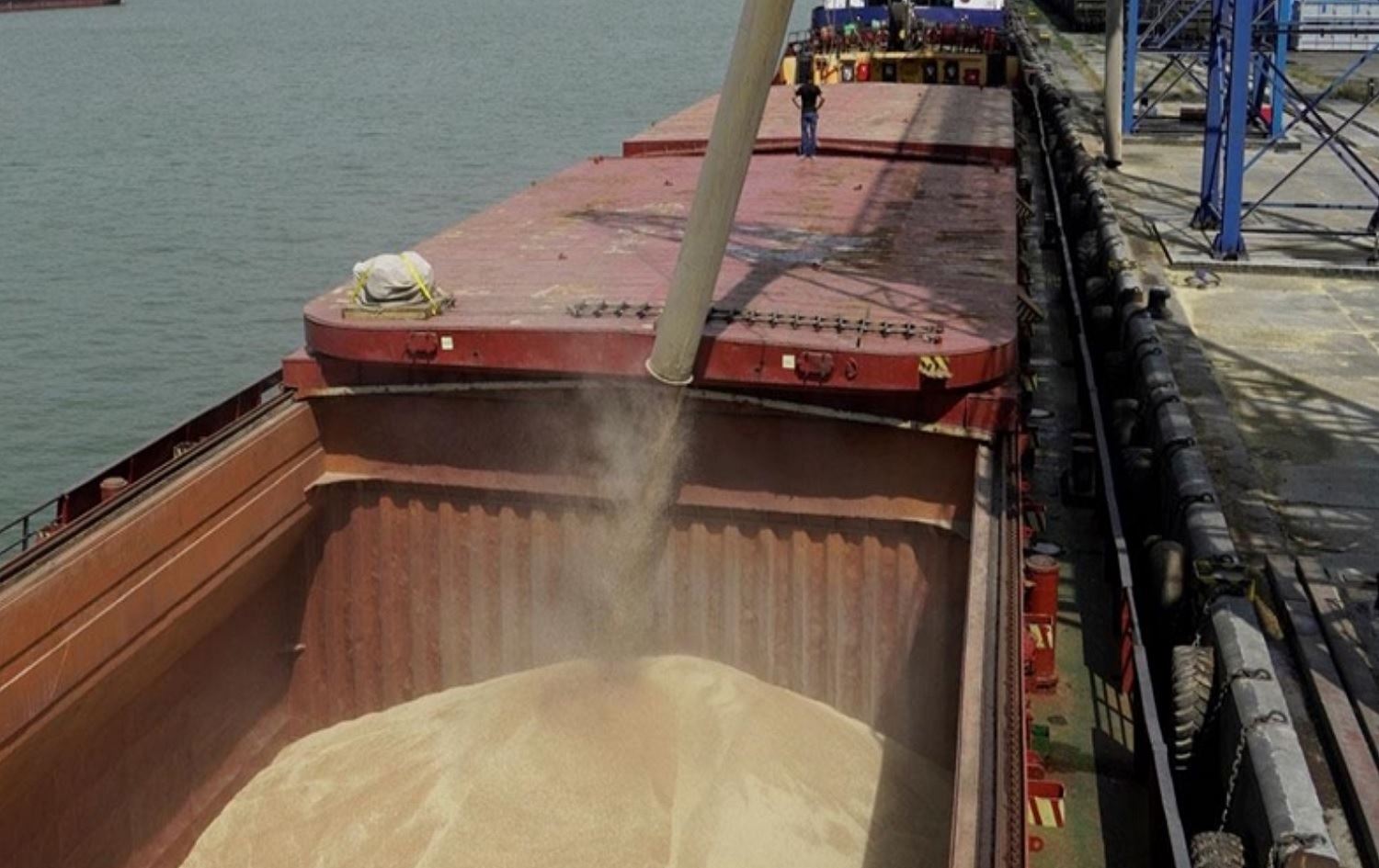 Ukrayna: Vegustuna genim berdewam e | Rûdaw.net