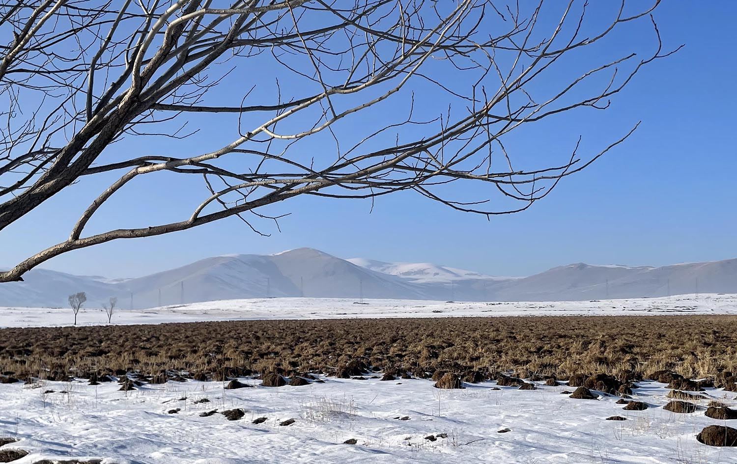 Li Erdexanê pileya germê daket bo 25 pile bin... | Rûdaw.net