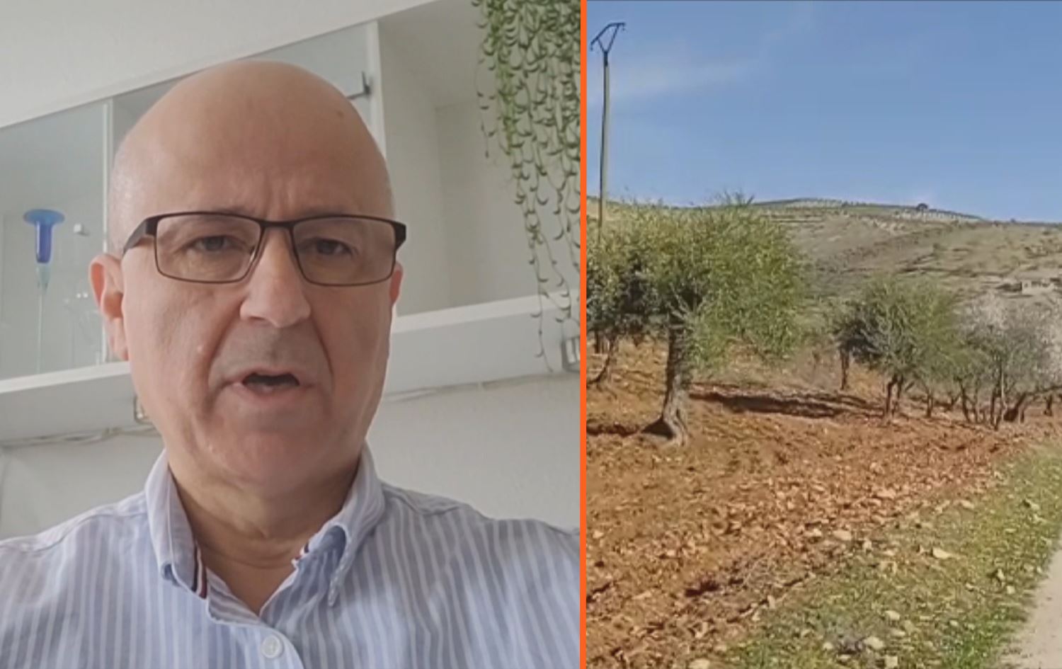 EFRÎN – Darên zeytûnan ber girt: 'Her roj... | Rûdaw.net